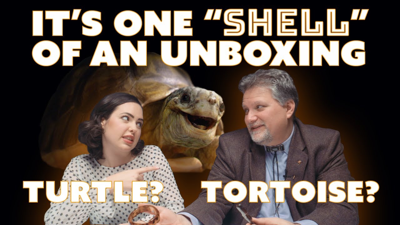 Tortoise Shell Surprise