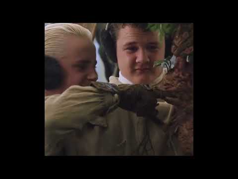 Steam Community :: Video :: Mandrake Potting ''Herbology Class'' lol ...