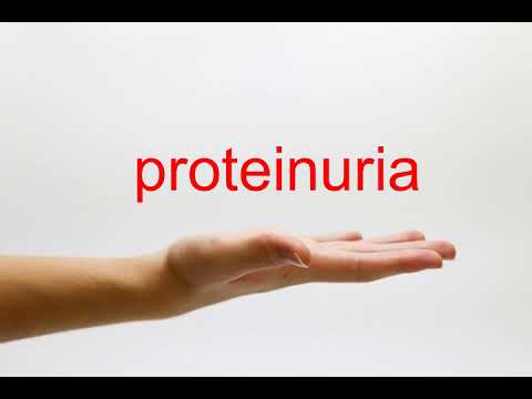 How to Pronounce proteinuria - American English