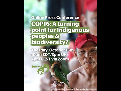 COP16: A turning point for Indigenous peoples & biodiversity?