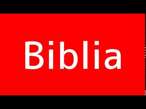 How to say Bible in Spanish