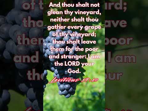 Jesus the Vine | Word of God #bible #jesus #quiz