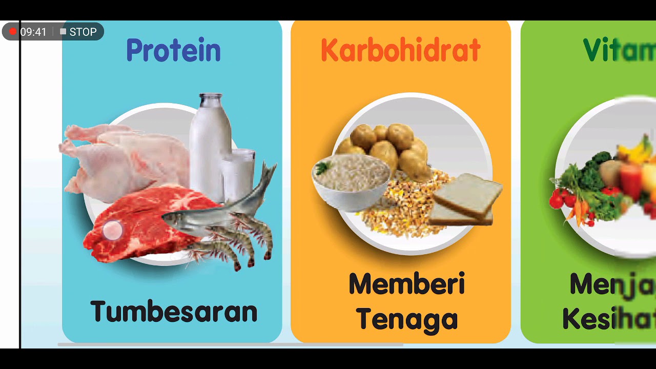 Tahun 3 / Sains Bil 11 / Bab 3: Kelas Makanan /Buku Teks KSSR Semakan/  ms 40 - 48