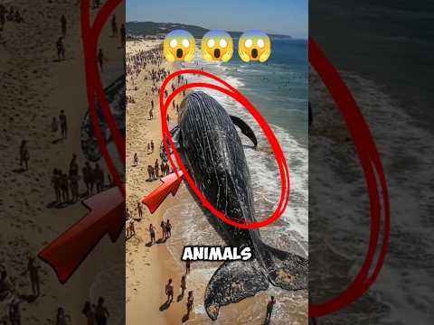 ANIMAL THAT START SMALL BUT GROW HUGE!😱 #facts #shorts #trending