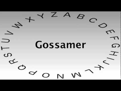 SAT Vocabulary Words and Definitions — Gossamer
