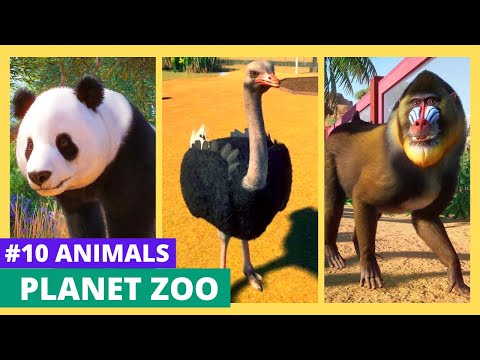 Super Planet Zoo! #10 Names And Sounds Wild Animals 01