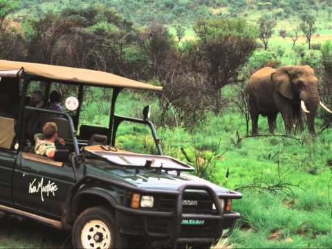 Kwa Maritane Bush Lodge - Accommodation in Pilanesberg