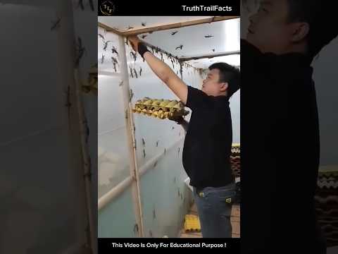 🦎 Lizard Farm In China 🤢 | #shortsfeed #tamilshorts #tamil #tamilaudience #tamilnadu