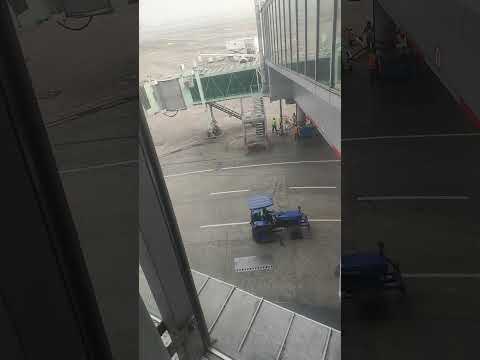 Airport #squidgame #music #bgm #animation #ringtone #shortsviral #drawing #tapchallenge #airport