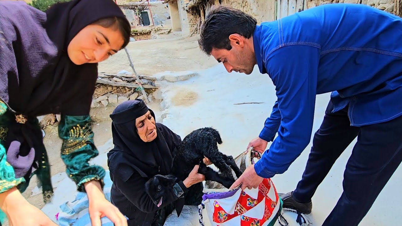 Osool-e Din’s Urgent Journey | Seeking Help to Protect His Flock