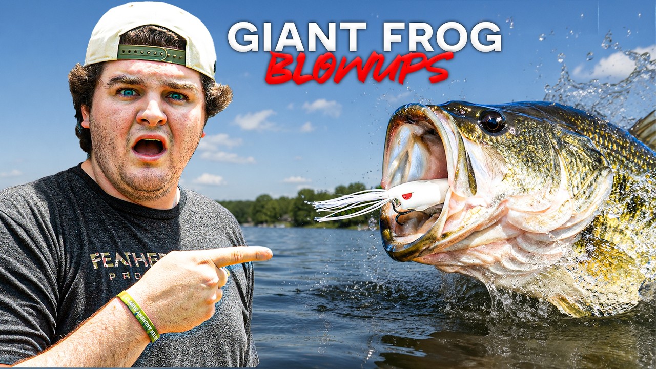 GIANT Bass Were EXPLODING On This Frog!