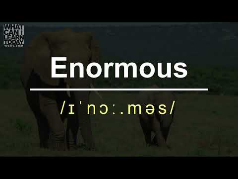 How to pronounce the word "Enormous"