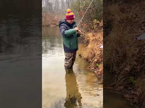 Pescando las mojarras #fishing #lomejor #maryland #mojarras #crappies