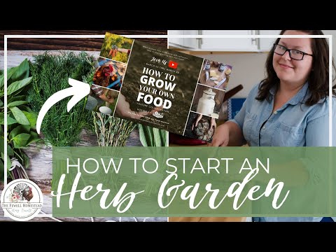 How to Start an Herb Garden | Grow Your Own Food Series