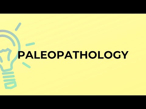 What is the meaning of the word PALEOPATHOLOGY?