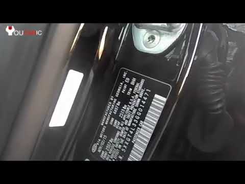 How to Find the Paint Code on a Kia Vehicle: A Quick and Easy Guide