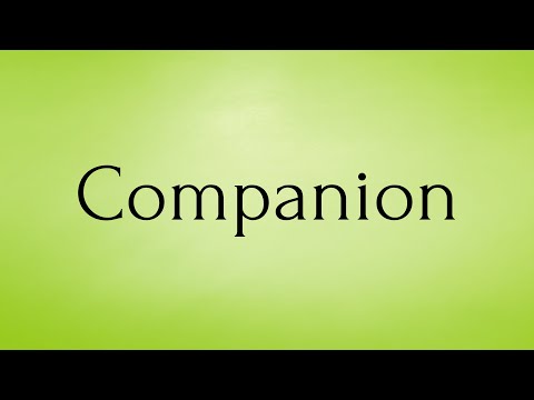 Companion | Companion Meaning | Pronunciation of Companion | Companion – English Word of the Day