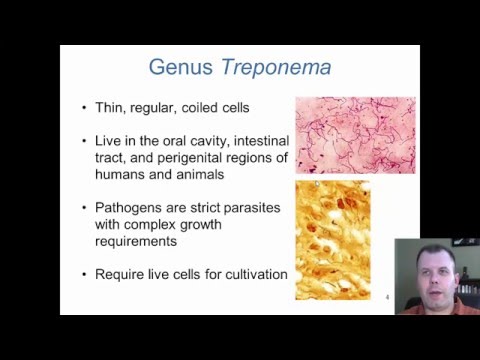 Chapter 21 - Irregularly Shaped Bacteria of Medical Importance