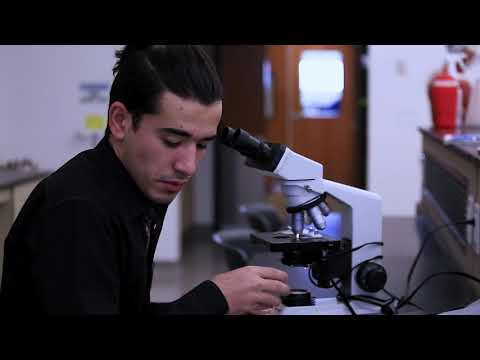Meet Serdar Gayybov