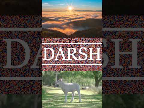 ☀️ DARSH - HINDU boy names | DARSH Name WhatsApp Status | #Shorts
