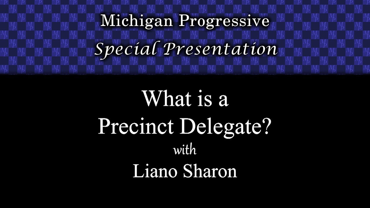 What is a Precinct Delegate?