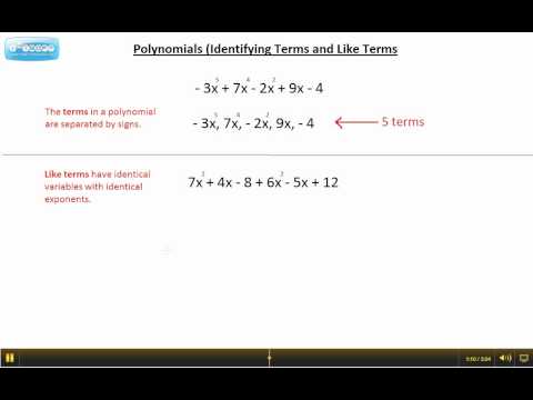 Polynomials (Identifying Terms and Like Terms)