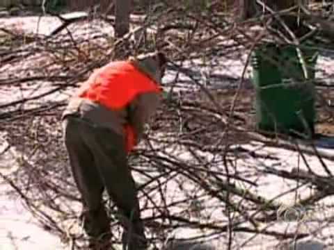 Kentucky's Winter Woes
