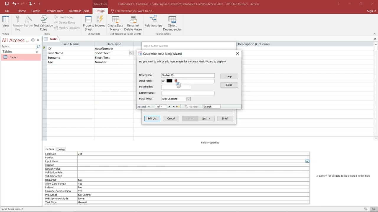 MS Access - Generating and using Input Masks
