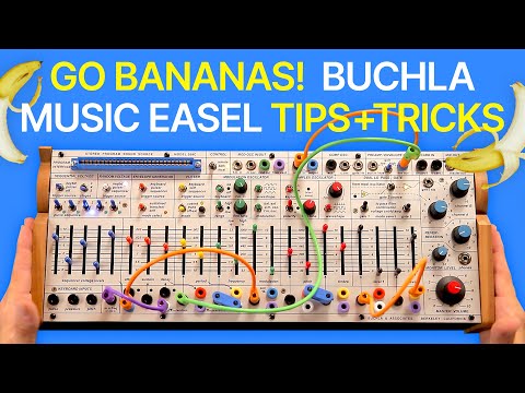 Buchla 208c Easel Command 2021 - Silver | Reverb