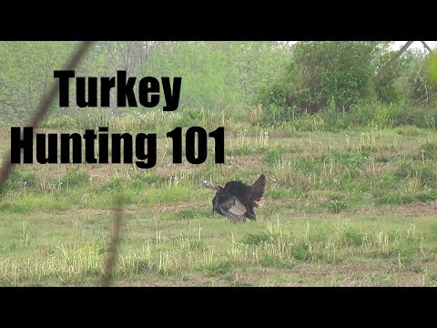 How to Turkey Hunt: Tips for Henned up Gobbler