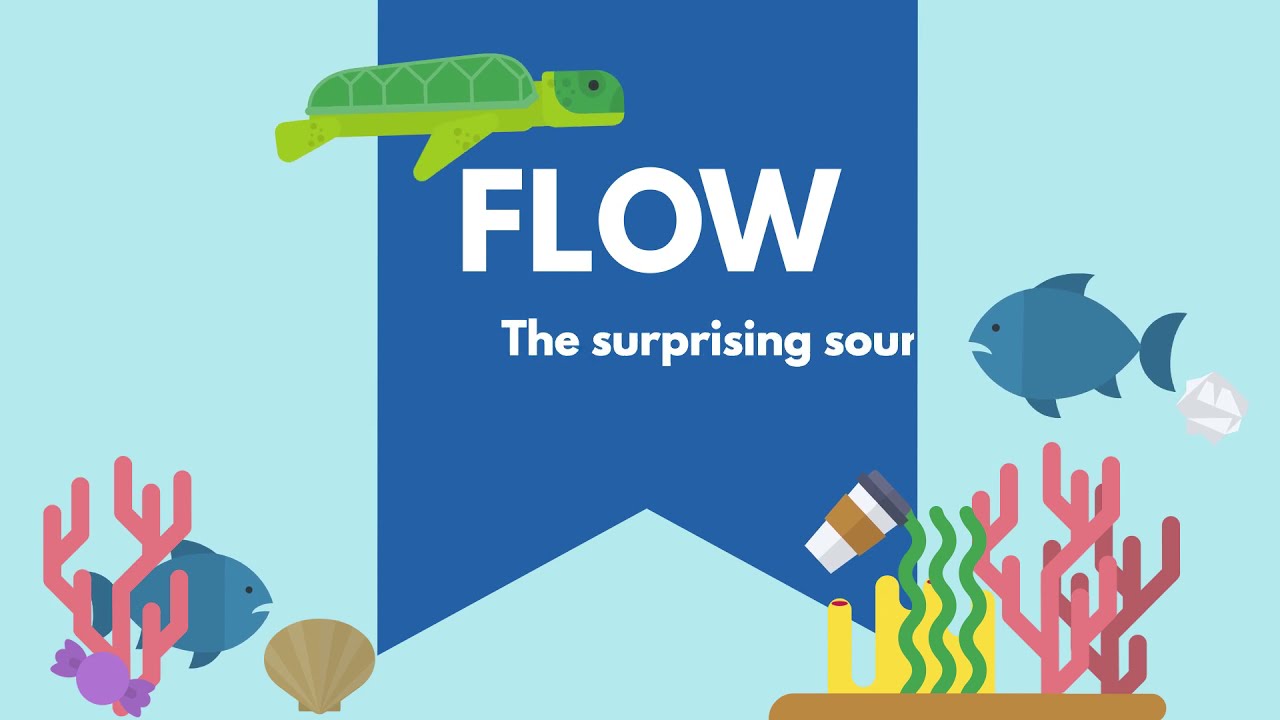 FLOW: The surprising sources of urban runoff