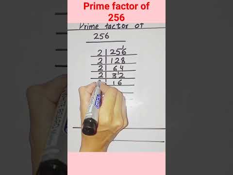 prime factor of 256 #shorts