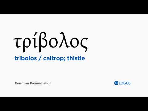 How to pronounce Tribolos in Biblical Greek - (蟿蟻委尾慰位慰蟼 / caltrop; thistle)
