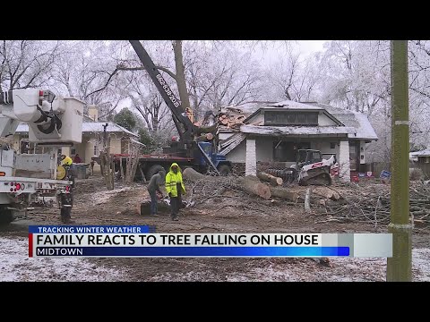 Tree falls on house