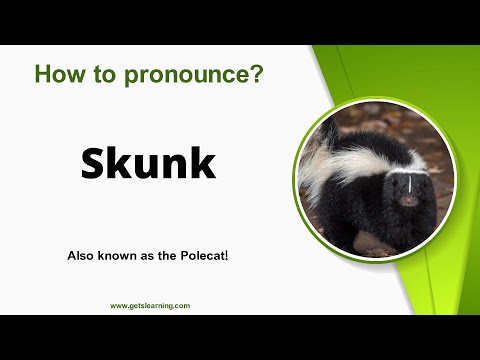 How to pronounce Skunk in English correctly