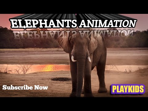 elephant animated black and white/elephant animated cute#elephant