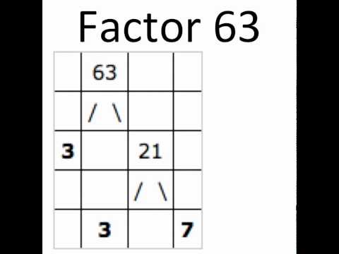 Factor A 63