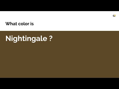 Nightingale color #5c4827 hex color - Yellow color - Cool color 5c4827