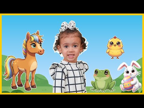 Videos dos Animais | O Sapo com Alice Macedo