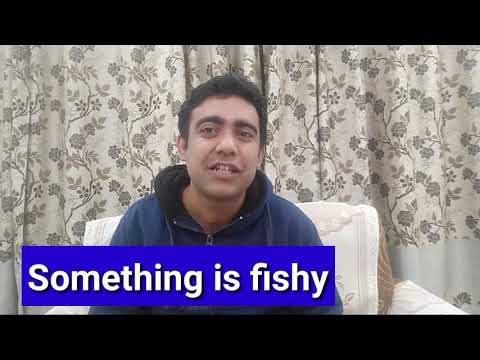 something is fishy meaning in hindi #shorts #youtubeshorts #Shorts #sayingsinhindi #spokenenglish