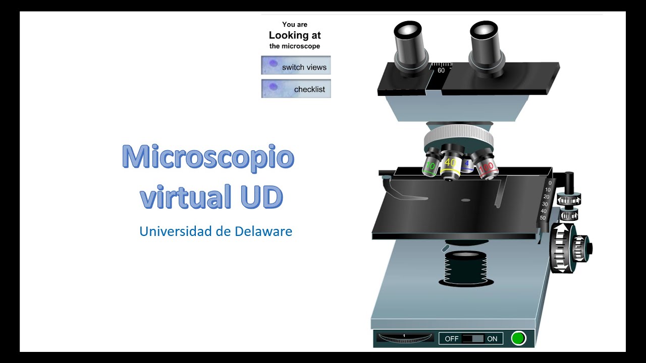 A Comprehensive Guide to Using the Microscope Simulator | Galaxy.ai
