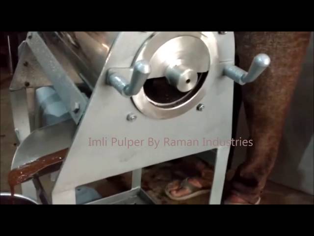 Pulp Extraction Machineries - Mini Fruit Pulper Manufacturer from New Delhi