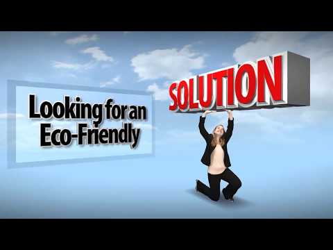 Eco-friendly Asian Subterranean Termite Control - Miami-Dade, Florida