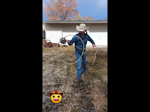 Lasso Tricks π€
