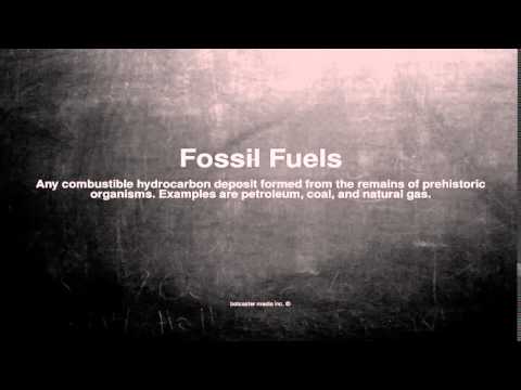 Medical vocabulary: What does Fossil Fuels mean