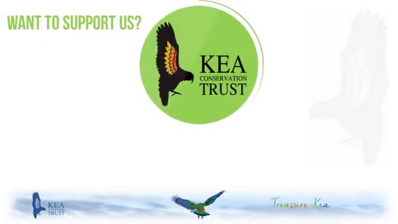 Kea Conservation Trust Overview