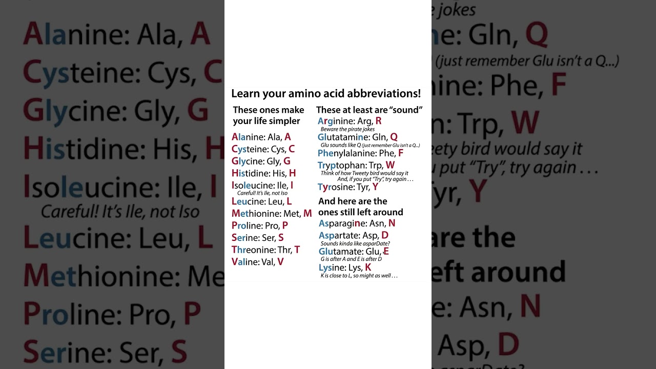 Amino acid abbreviation memory tips