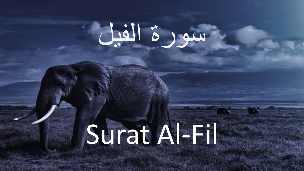 Surat Al Fil The Elephant Haji Malik سورة الفيل