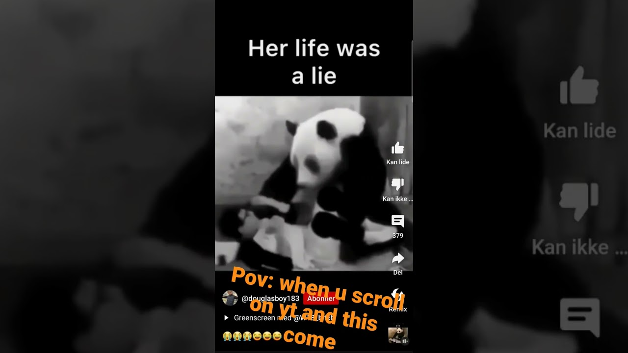 when u scroll on yt #scroll #pov #panda #shorts #Lie #live #funny #rip