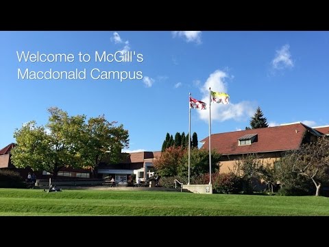 McGill University : Rankings, Fees & Courses Details | Top Universities